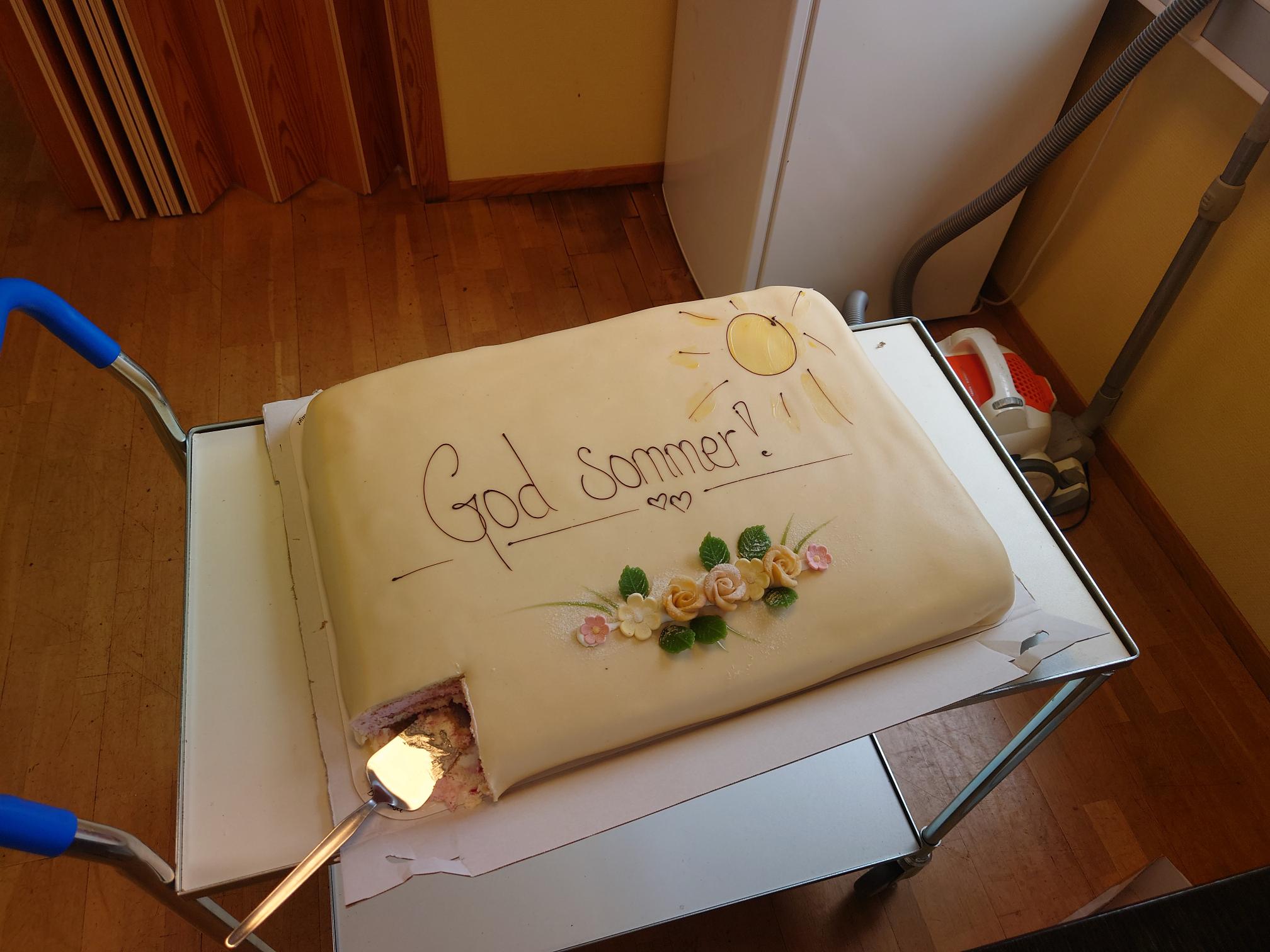 God sommer | Fiskevegn